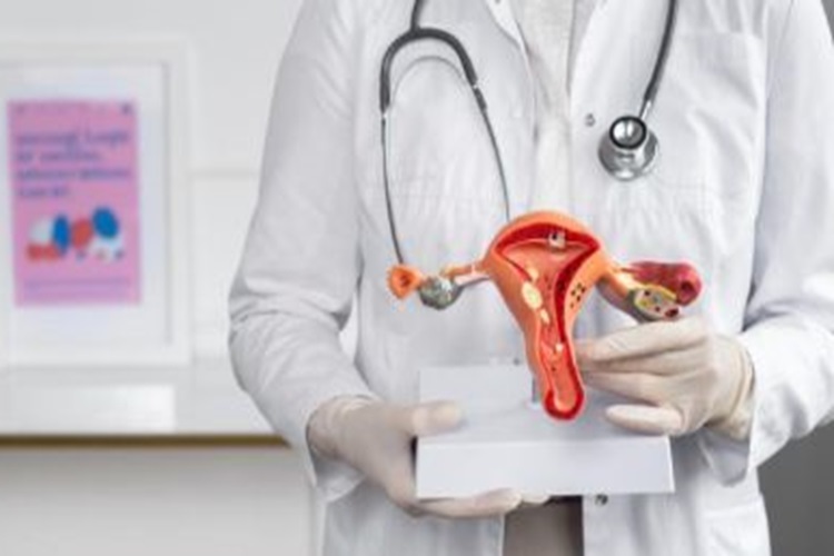 Bahia lidera número de casos novos do câncer de colo de útero na região ...